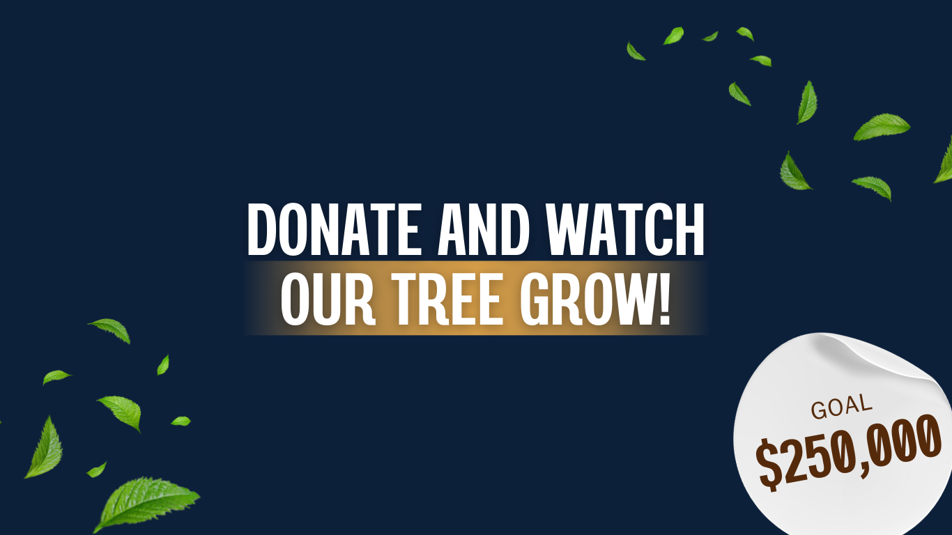 Giving Tree Campaign - Roswell Community Masjid